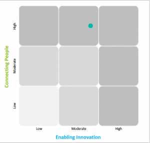 Digital Leadership Assessment - Evalex