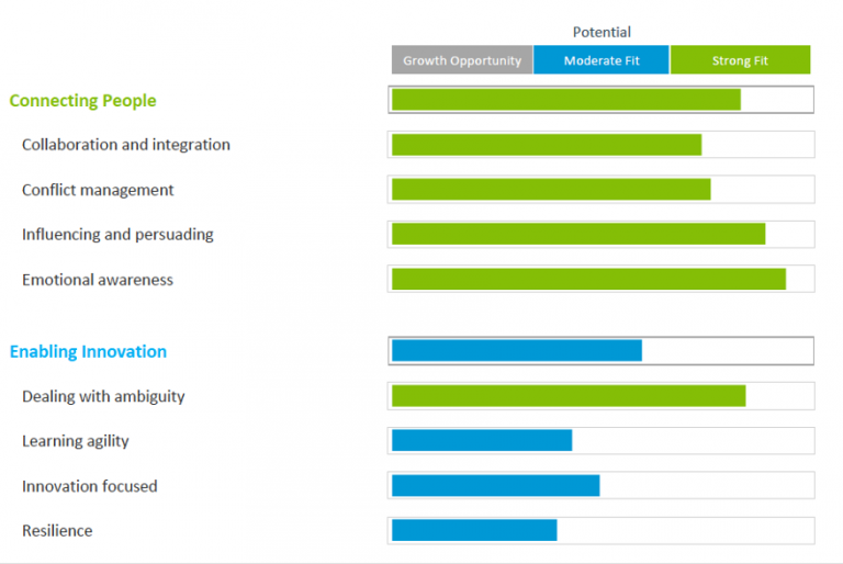 Digital Leadership Assessment - Evalex