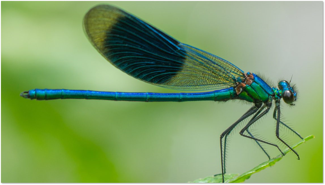 Elea’s Future Fit Leader series, part 3: solving problems - Evalex